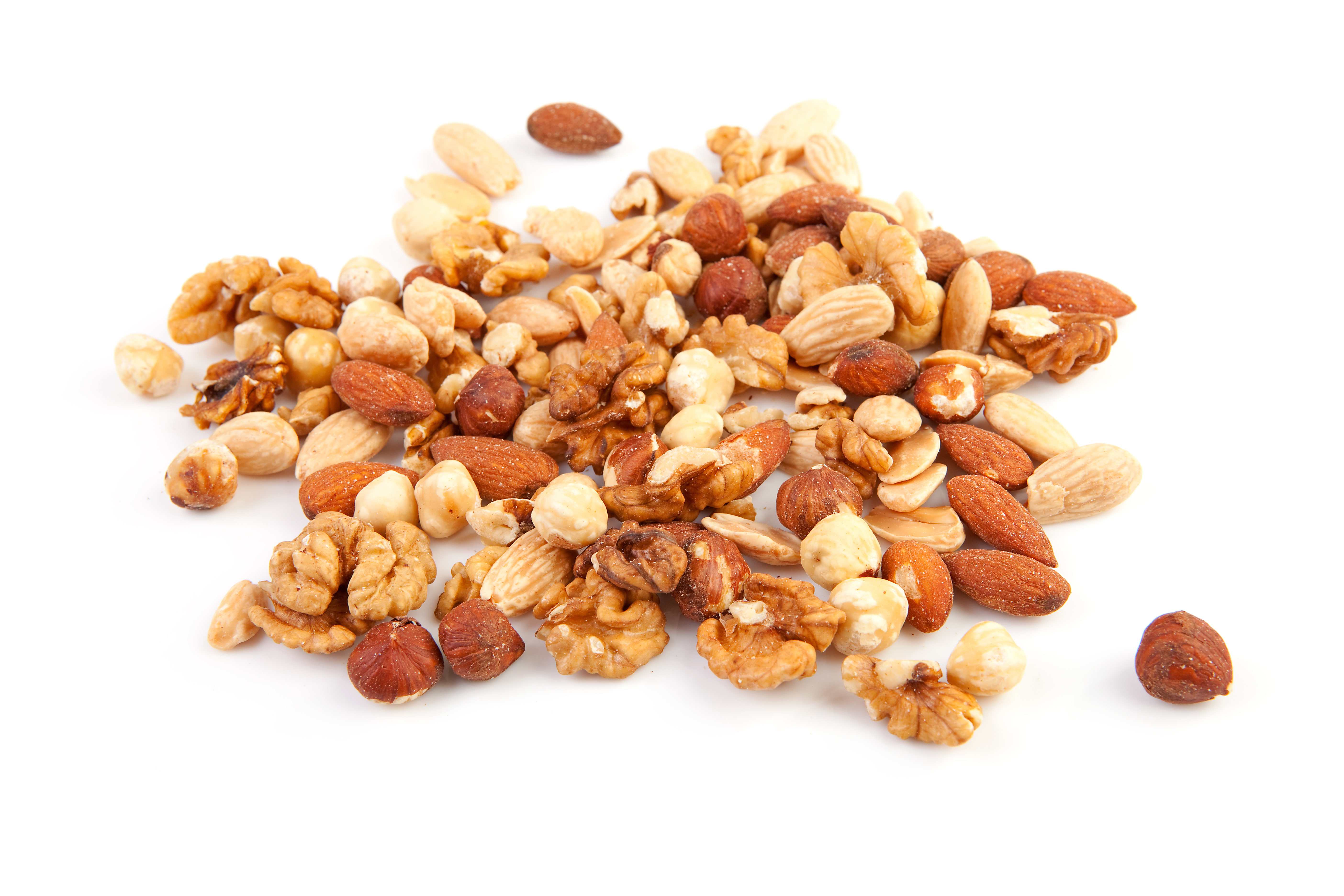 Why Nuts Are The Nuts - motive8 North